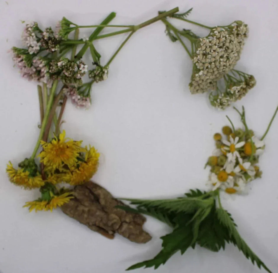 Biodynamic Preparations | The Josephine Porter Institute