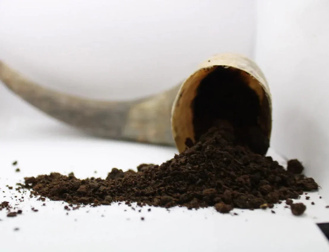 Biodynamic Horn Manure: Enhance Soil Regeneration